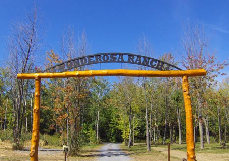 Gallery – PONDAROSA RANCH RESORT